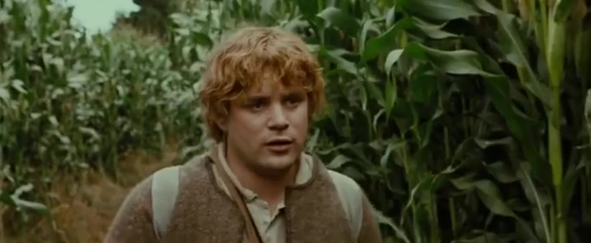Why Samwise Gamgee Is My Role Model – The Nerdd