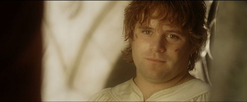 Why Samwise Gamgee Is My Role Model – The Nerdd
